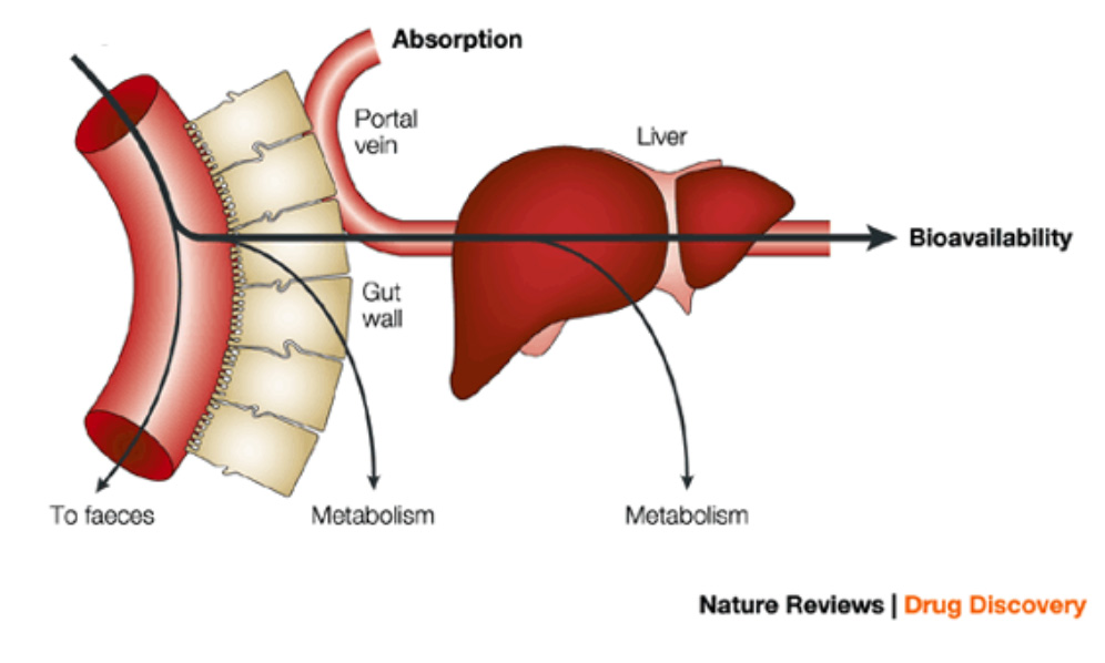 CYP inhibition